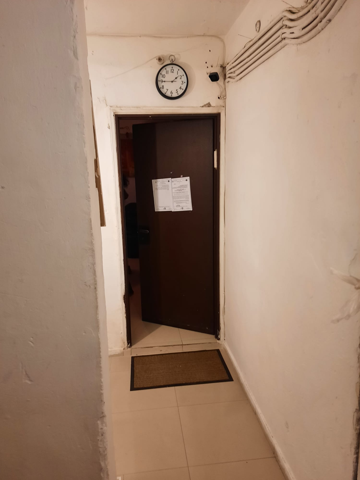 בית בושת בתוך הבניין תושבי גוש דן לא האמינו למראה עיניהם אייס